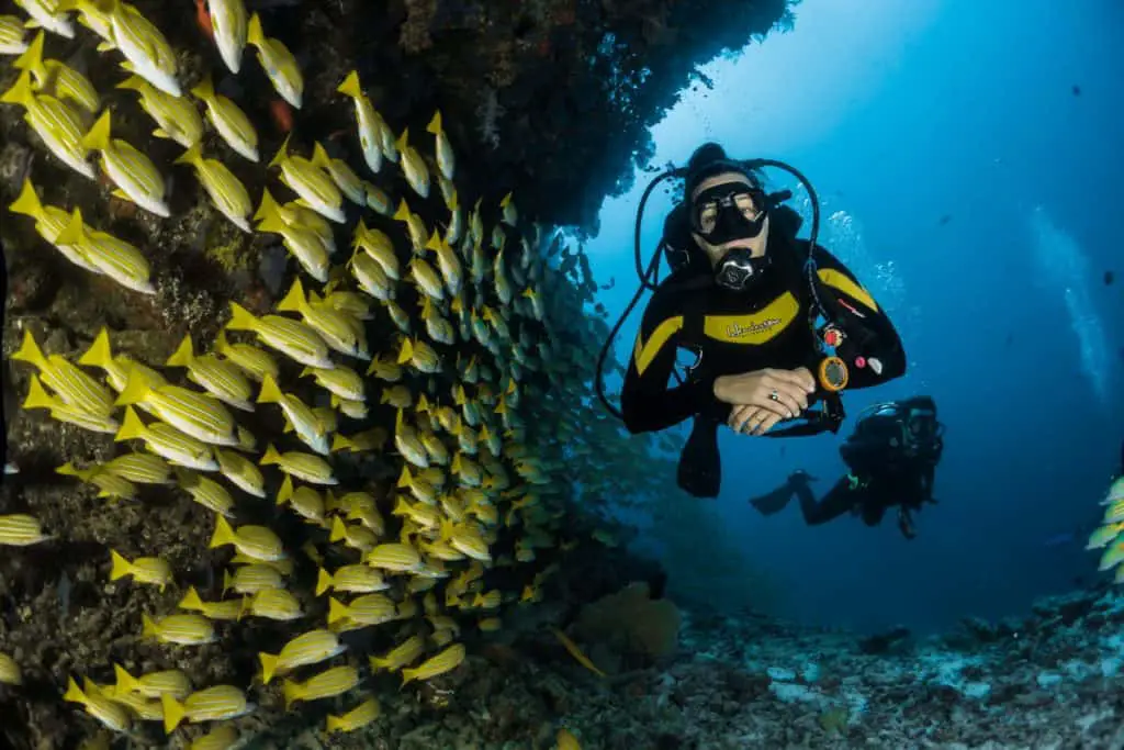 Is Scuba Diving an Extreme Sport? (+Its 7 Most Exciting Forms)