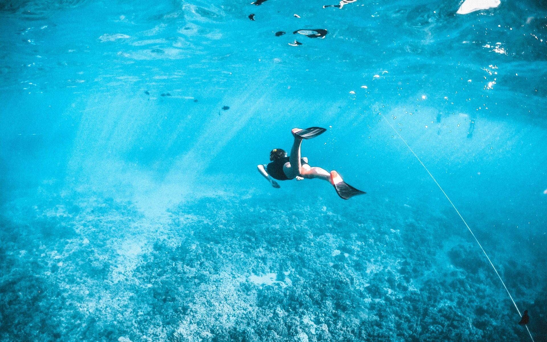 Is Snorkeling the Great Barrier Reef Safe? (+9 Safety Tips)