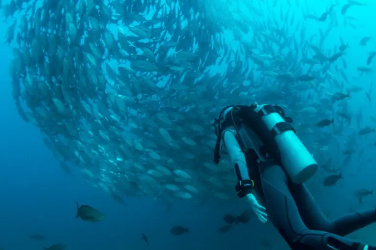 Can You Talk While Scuba Diving? (+7 Practical Communication Tips)