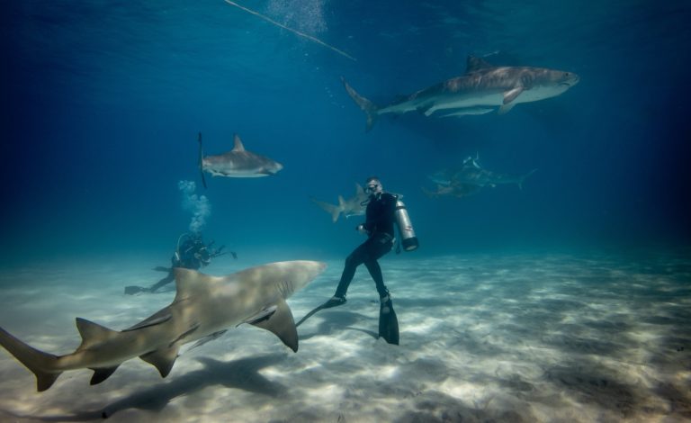 Can You Talk While Scuba Diving? (+7 Practical Communication Tips)